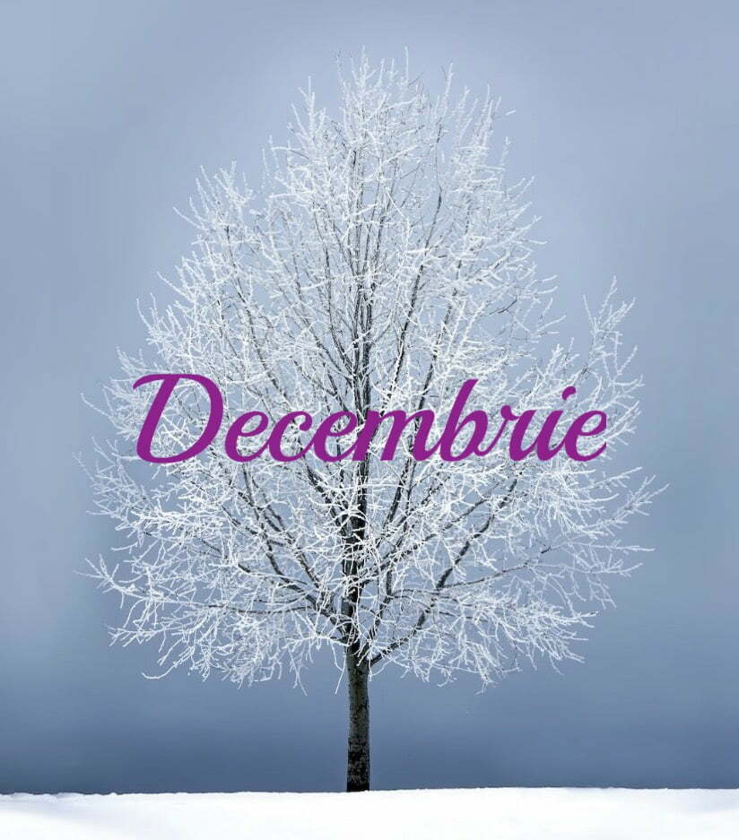Ce se schimbă în luna decembrie