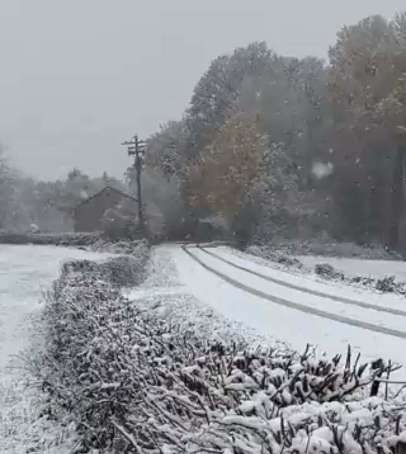 Primii fulgi de zăpadă în Ardeni