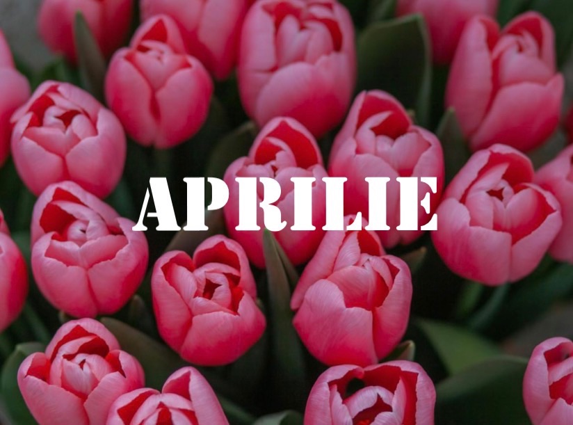 Ce se schimbă de la 1 aprilie